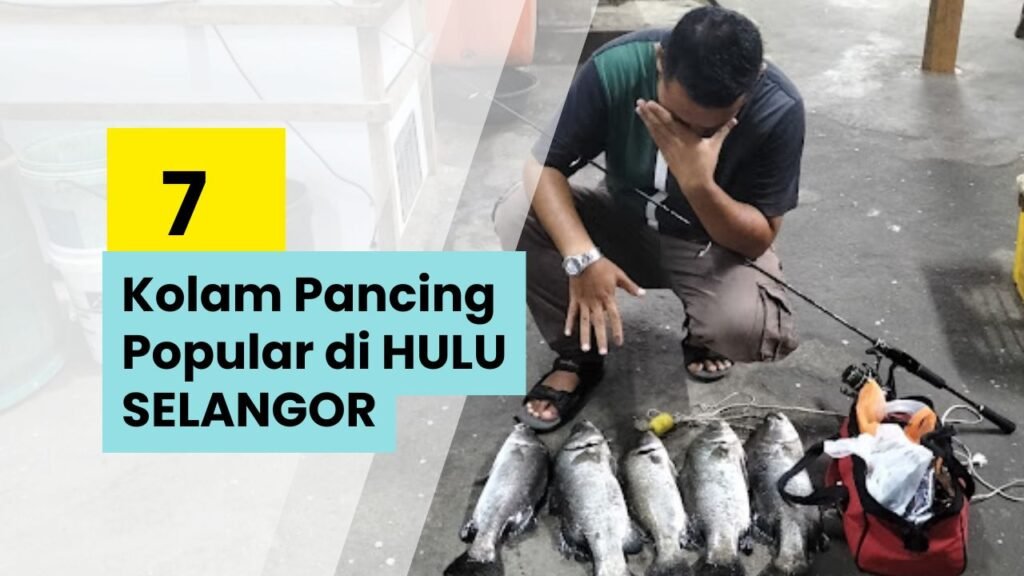 √ BEST 5 Kolam Pancing Kuala Selangor Most Popular 2025